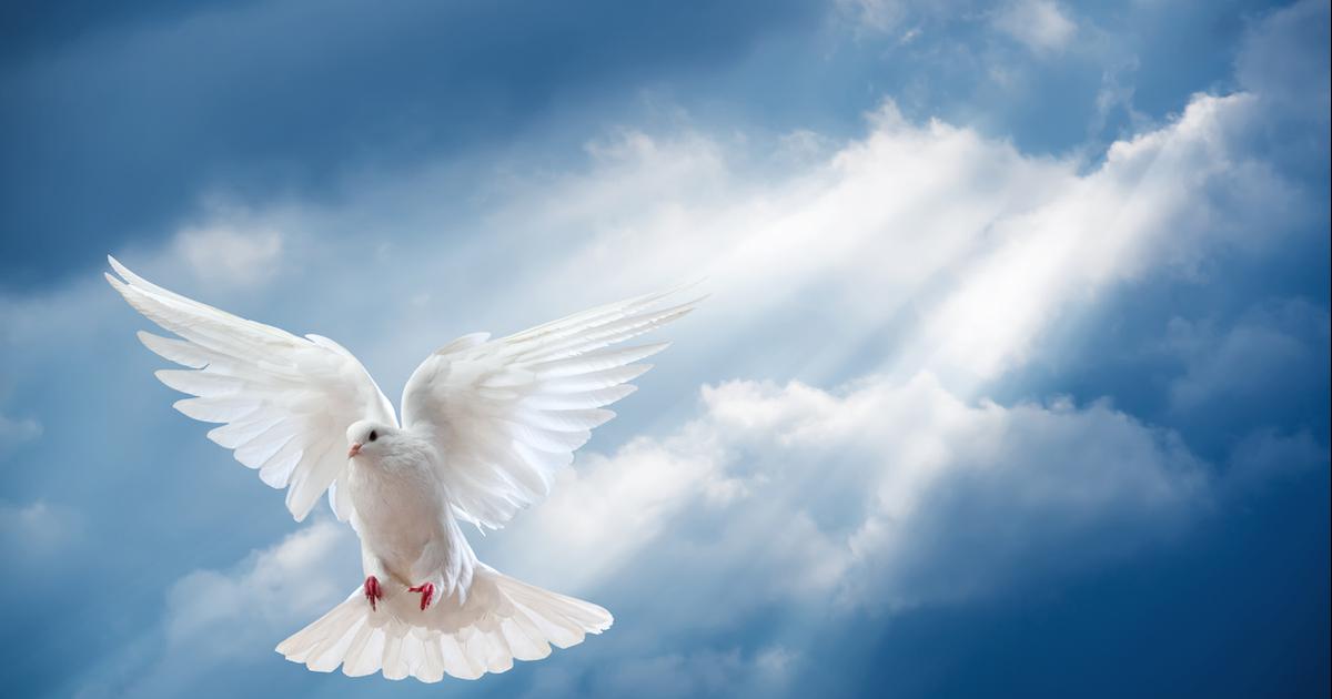 Lectures du jour : « J’ai vu l’Esprit descendre du ciel comme une ...