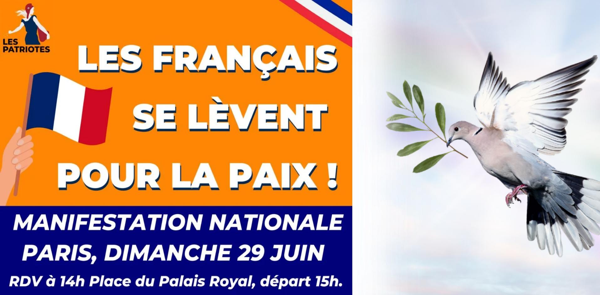 « Les Français se lèvent pour la Paix ! » - Manif des Patriotes pour la ...